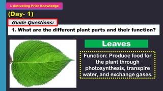 Q1_Science 8_Week2-Day 1 plant and function.pdf