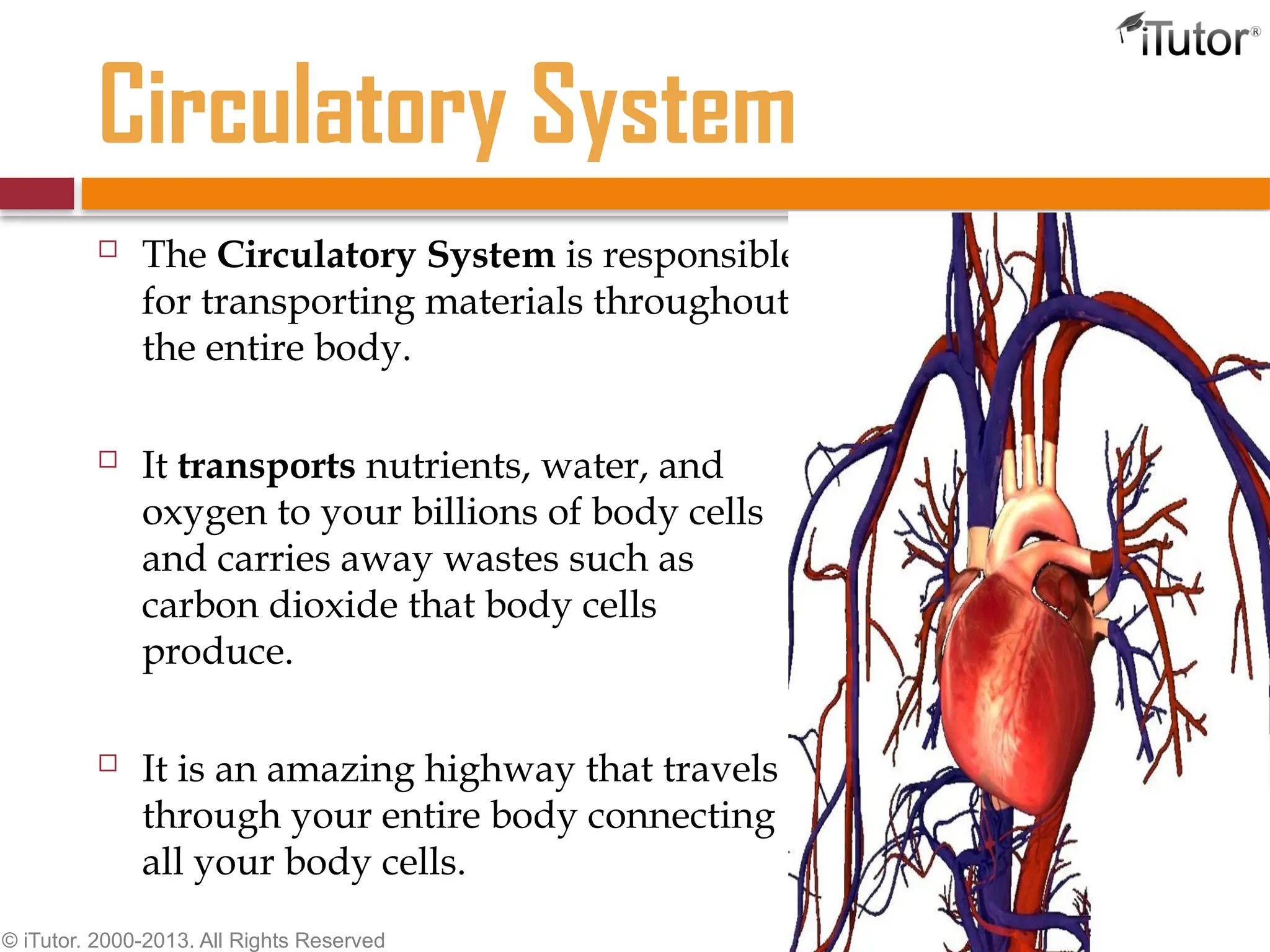 SCIENCE 9 POWERPOINT PRESENTATION IN SCIENCE | PPTX