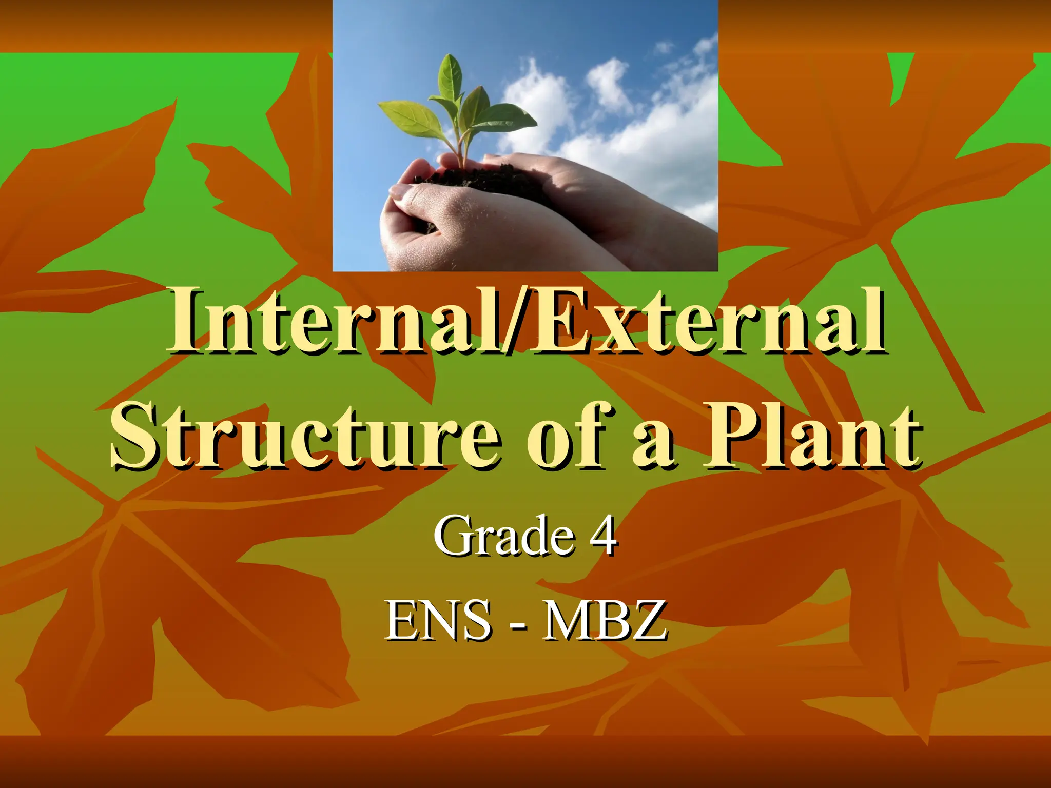 Q1W4L1-PowerpointInternalExternalStructureofPlants.ppt