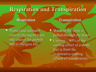 Q1W4L1-PowerpointInternalExternalStructureofPlants.ppt