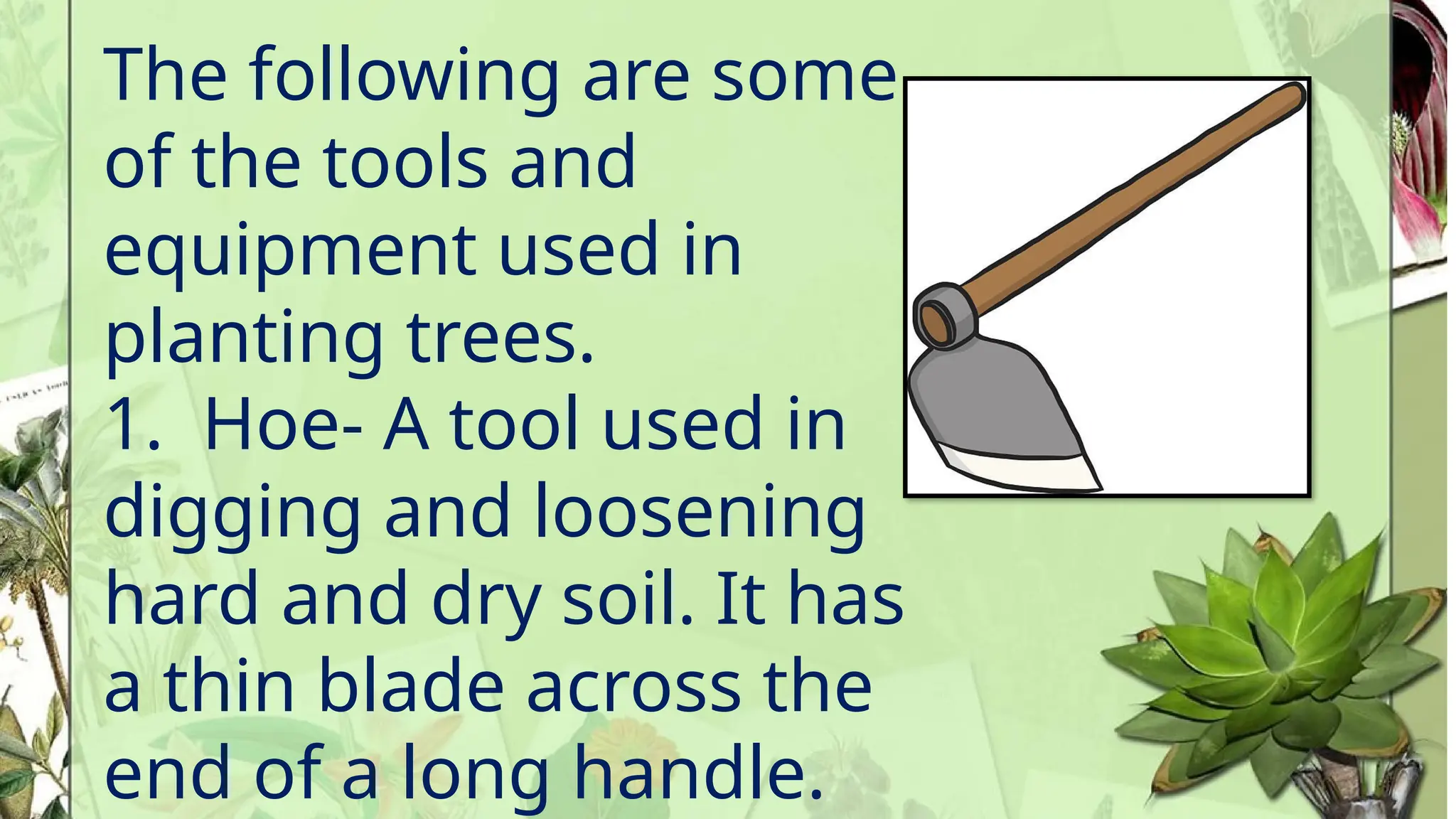 Q1_W6_D2 TLE TOOLS SEPT 26.pptx GARDENING TOOLS | PPTX