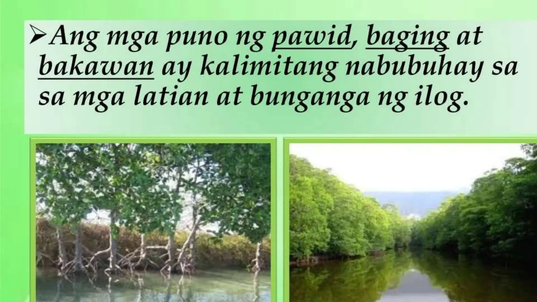 Q1_W6_HAYOP AT PANANIM SA PILIPINAS.pptx