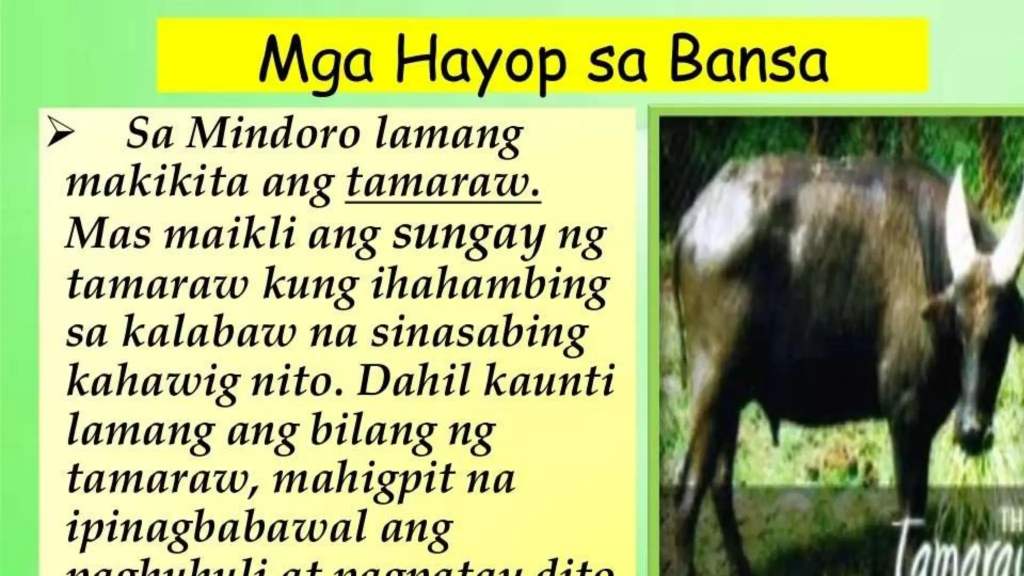 Q1_W6_HAYOP AT PANANIM SA PILIPINAS.pptx