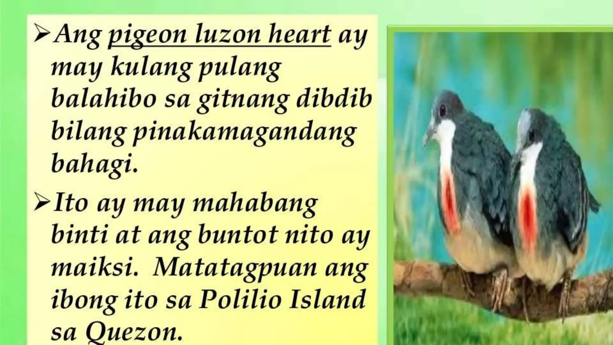 Q1_W6_HAYOP AT PANANIM SA PILIPINAS.pptx