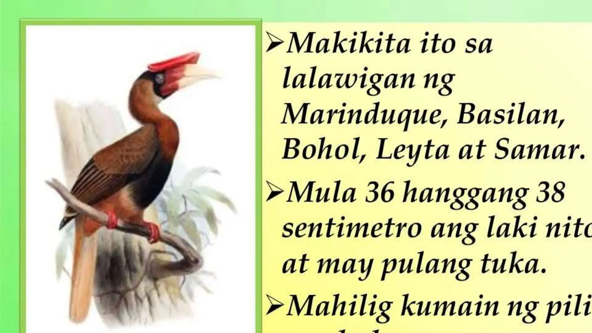 Q1_W6_HAYOP AT PANANIM SA PILIPINAS.pptx