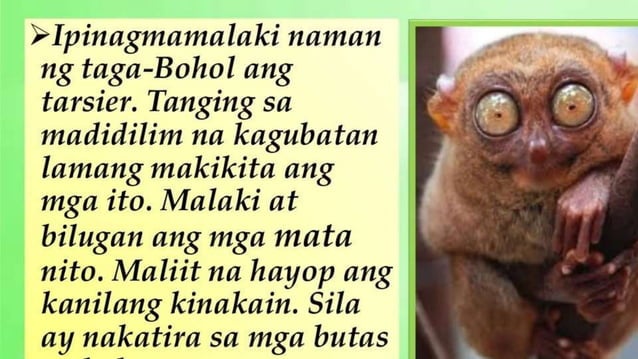 Q1_W6_HAYOP AT PANANIM SA PILIPINAS.pptx