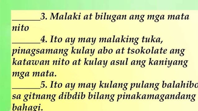 Q1_W6_HAYOP AT PANANIM SA PILIPINAS.pptx