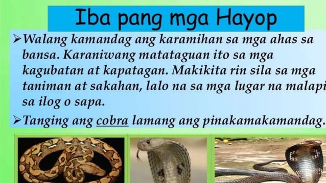 Q1_W6_HAYOP AT PANANIM SA PILIPINAS.pptx