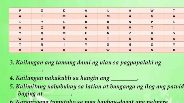 Q1_W6_HAYOP AT PANANIM SA PILIPINAS.pptx