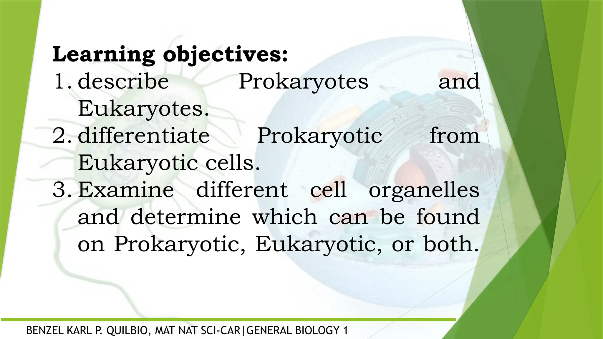 Differentiating Prokaryotes and Eukaryotes | PPTX