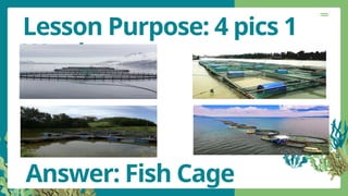 Agri-Fishery Arts - Aquaculture (Week 1) | PPTX