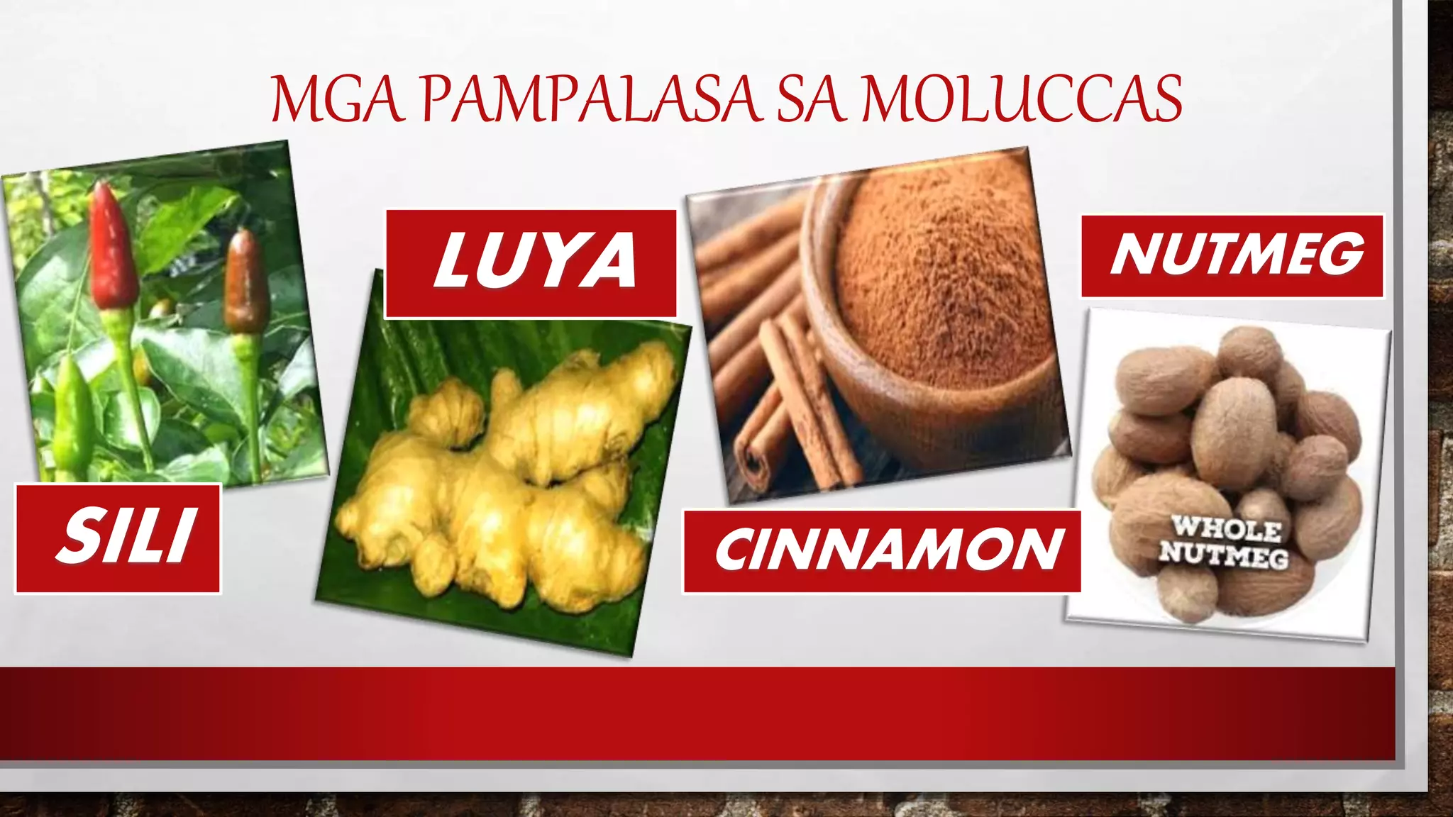 EXPEDISYON NI MAGELLAN | PPTX