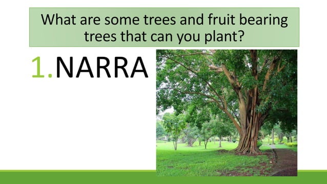 Q2-IMPORTANCE OF TREES.pptx