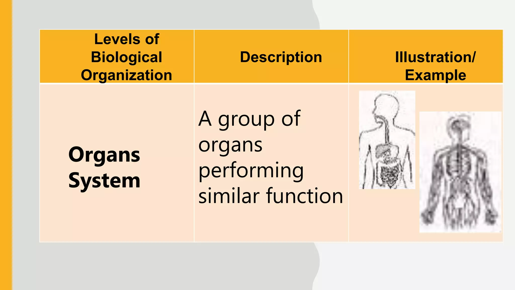 Q2 l6-levels of biological organization | PPTX