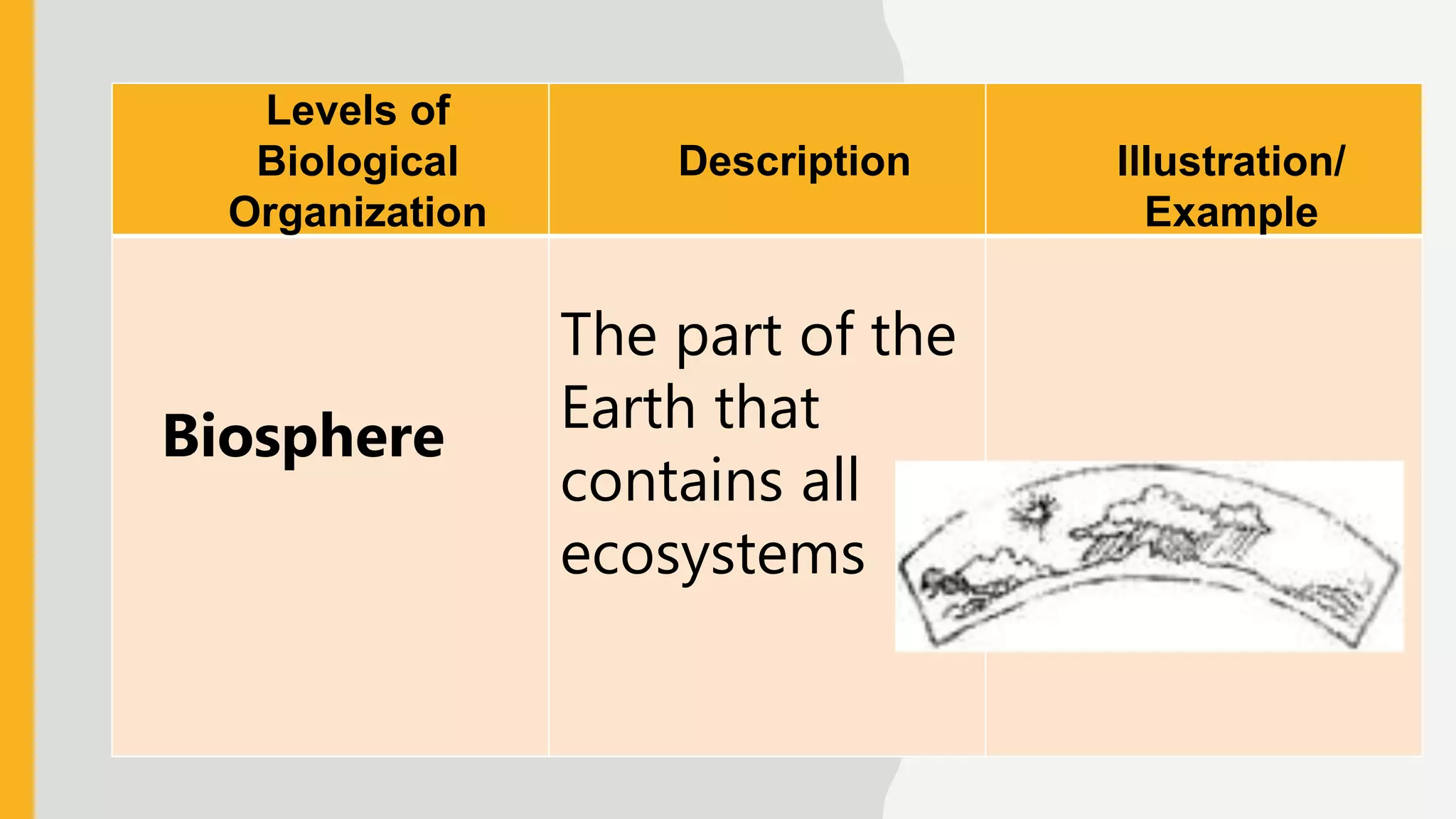 Q2 l6-levels of biological organization | PPTX