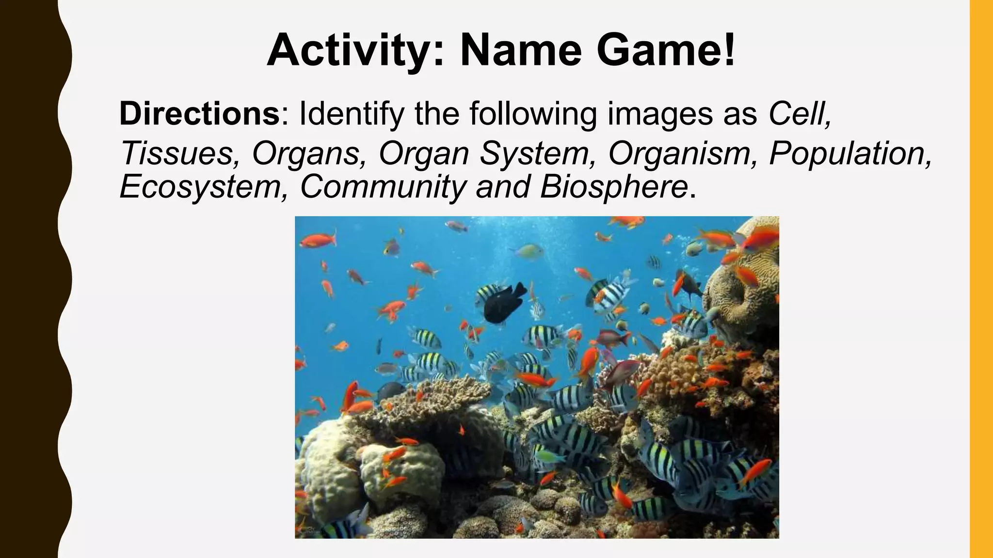 Q2 l6-levels of biological organization | PPTX