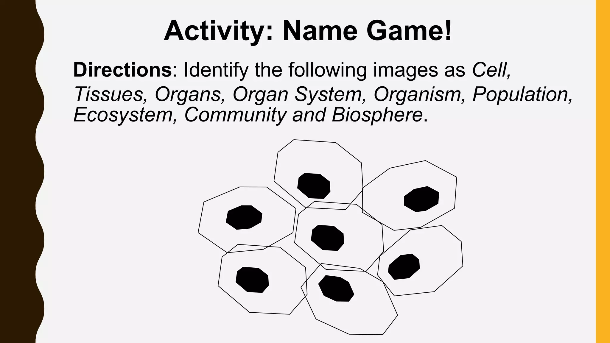 Q2 l6-levels of biological organization | PPTX