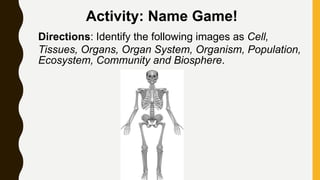 Q2 l6-levels of biological organization | PPTX