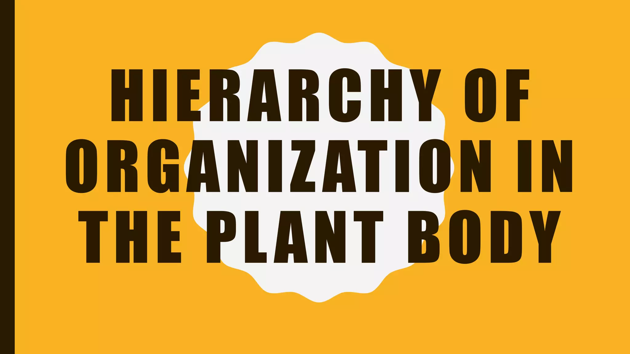 Q2 l7-hierarchy of organization in the plant body | PPTX