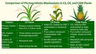 Q2-Lesson-5-CAM-and-C4-Photosynthesis.pdf