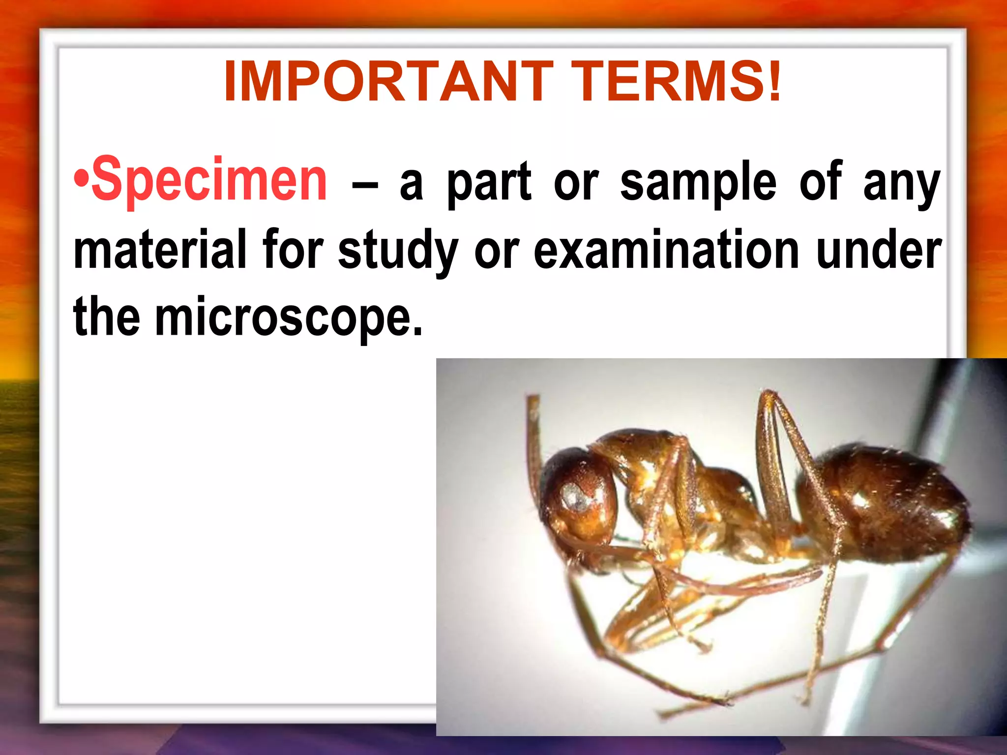Q2 Module 1 2 Microscope Ppt Photography Arts And Crafts