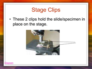 Q2 module-1-2 -microscope | PPT