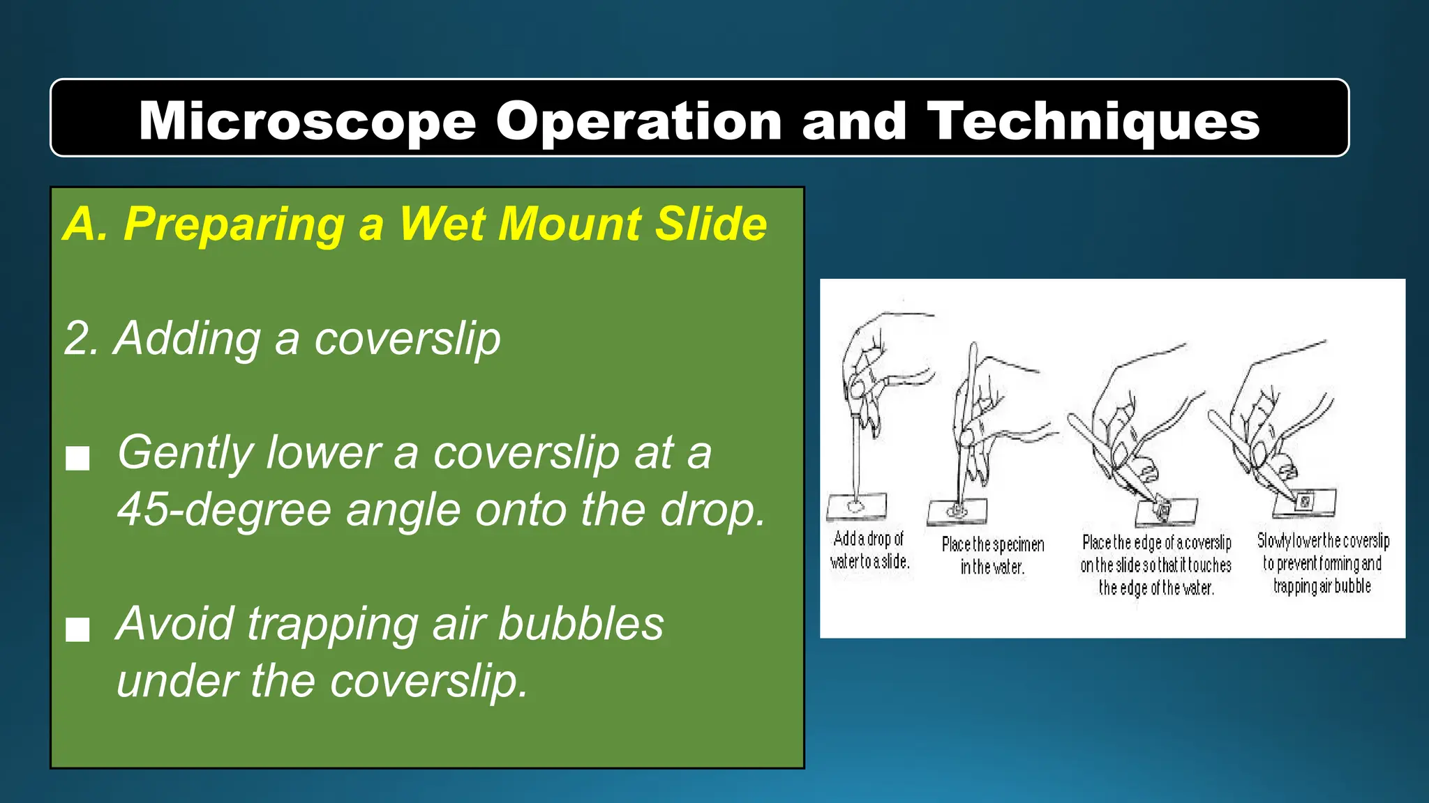Q2-SCIENCE 7-LC1 .pptx