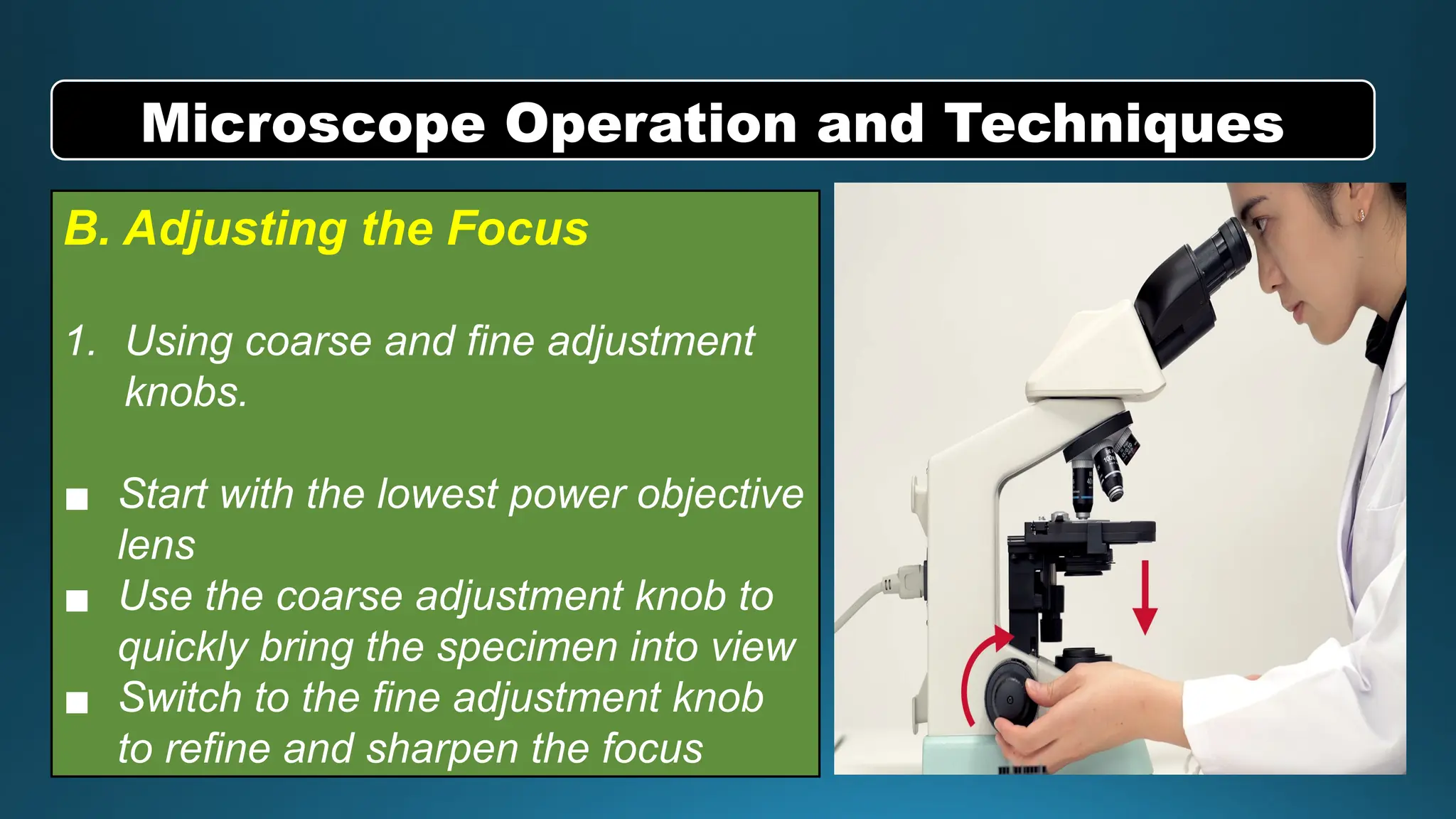 Q2-SCIENCE 7-LC1 .pptx