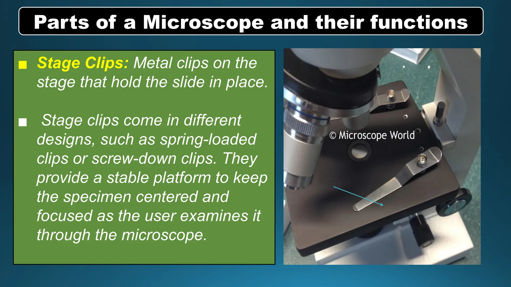 Q2-SCIENCE 7-LC1 .pptx