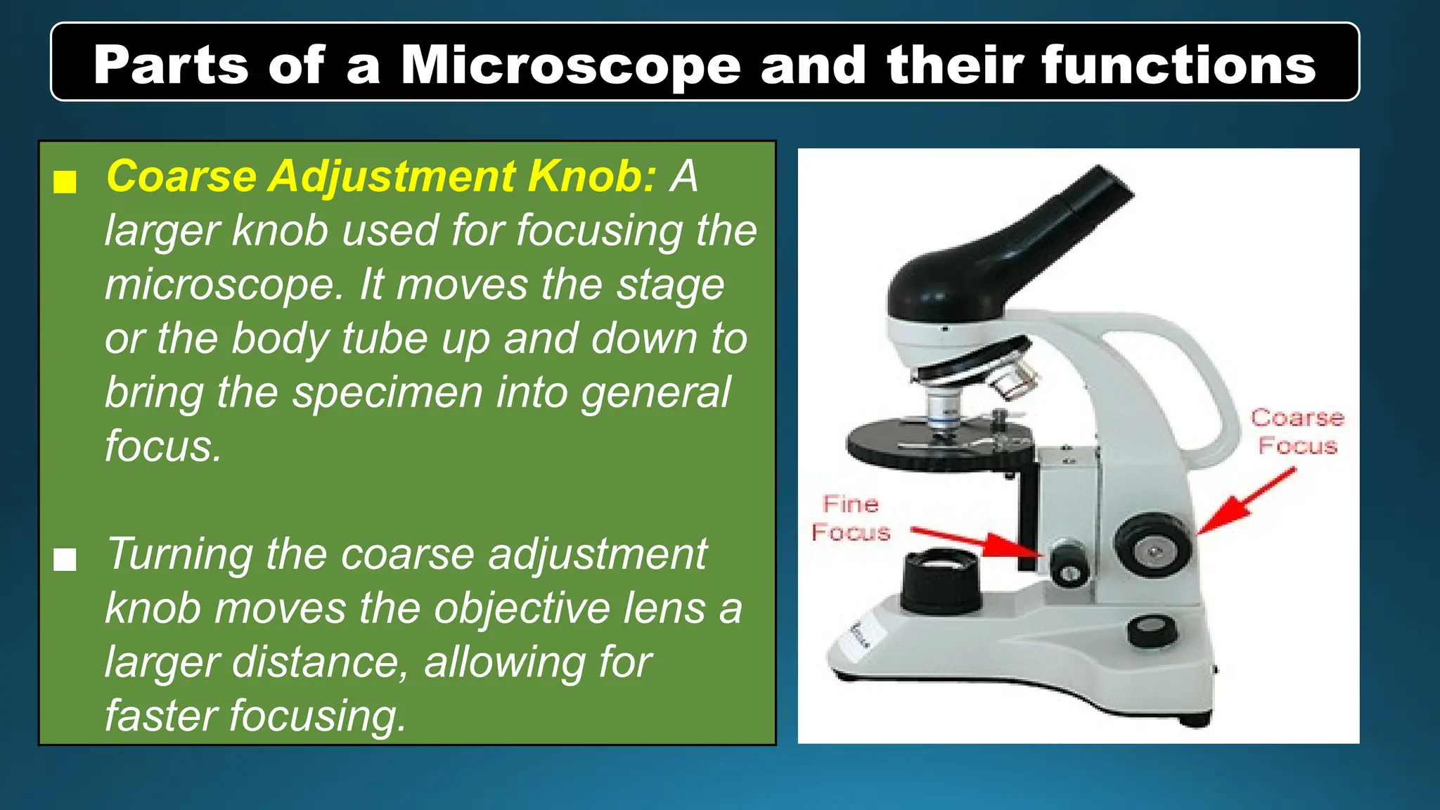 Q2-SCIENCE 7-LC1 .pptx