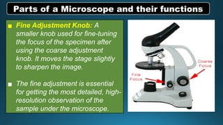 Q2-SCIENCE 7-LC1 .pptx