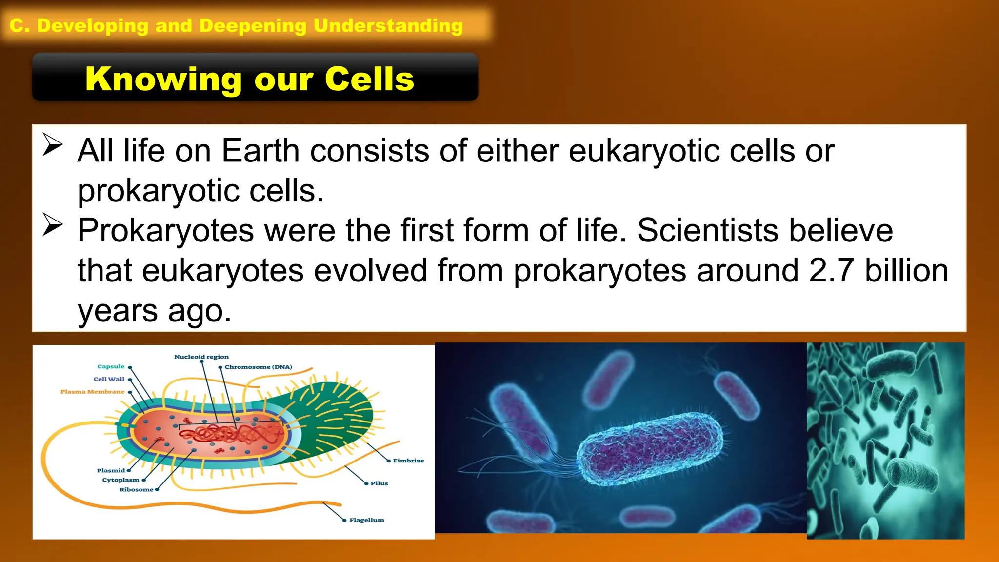 Q2-SCIENCE 7-LC3-EUKARYOTE VS. PROKARYOTE.pptx