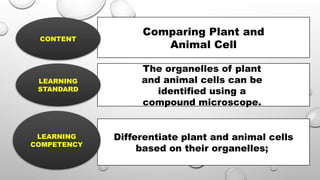 Comparing Plant and Animal Cell Microsco | PPTX