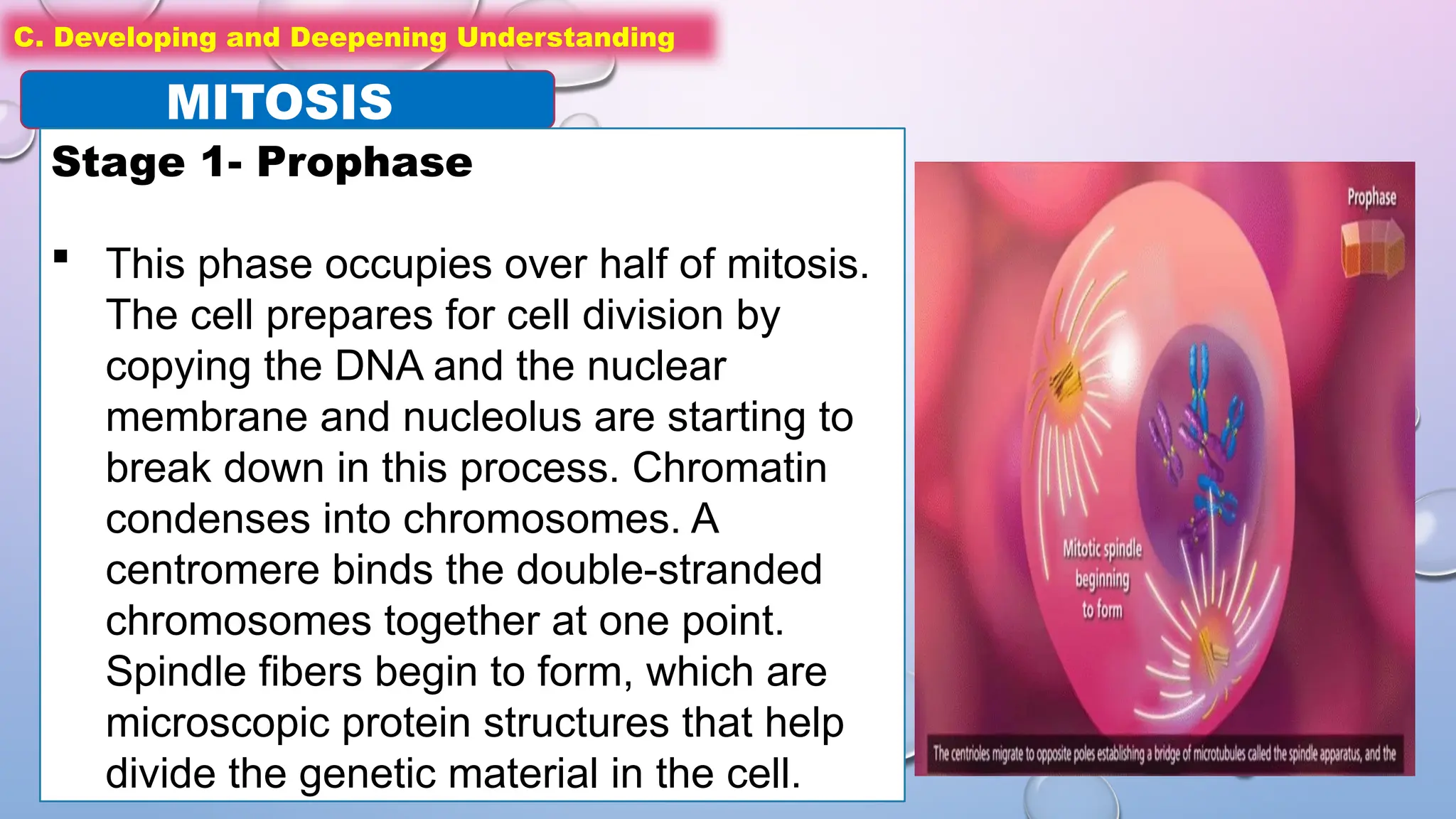 Q2-SCIENCE 7-LC5 LESSON 2.pptx mitosis and meoisis | PPTX
