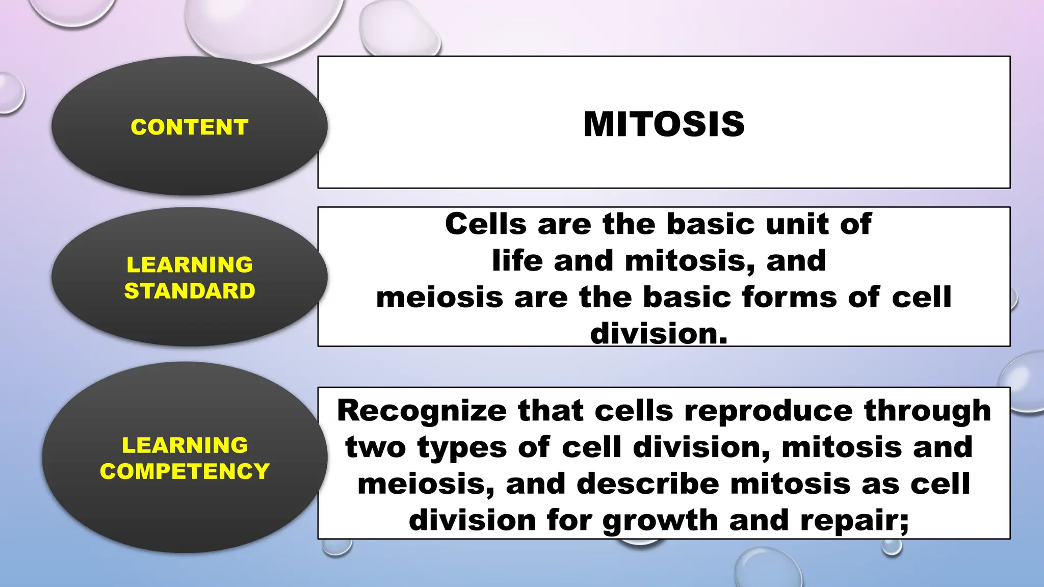 Q2-SCIENCE 7-LC5 LESSON 2.pptx mitosis and meoisis | PPTX
