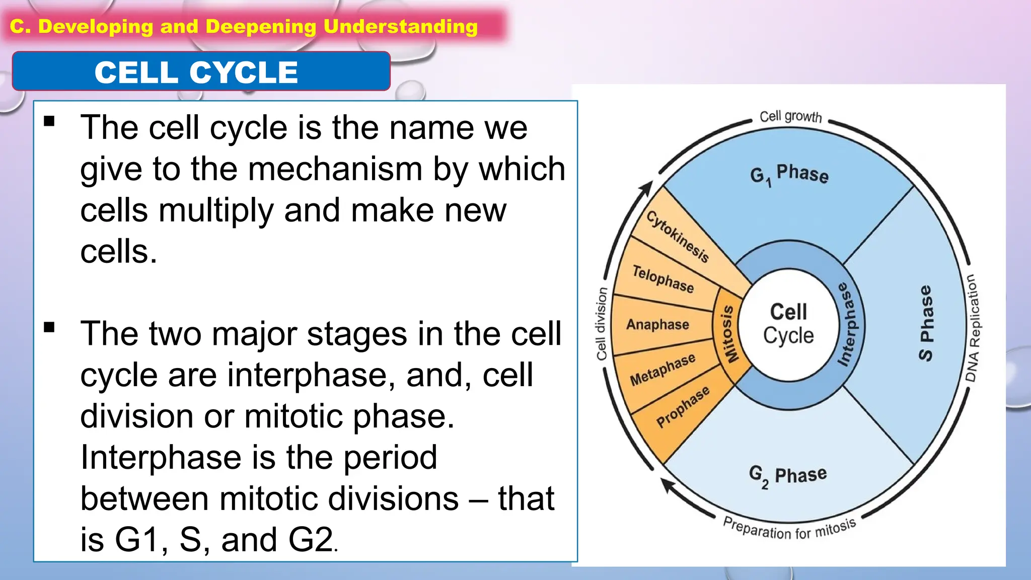 Q2-SCIENCE 7-LC5 LESSON 2.pptx mitosis and meoisis | PPTX
