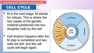 Q2-SCIENCE 7-LC5 LESSON 2.pptx mitosis and meoisis | PPTX