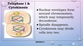 Q2-SCIENCE 7-LC5 LESSON 2.pptx mitosis and meoisis | PPTX
