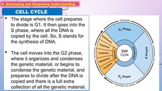 Q2-SCIENCE 7-LC5 LESSON 2.pptx mitosis and meoisis | PPTX