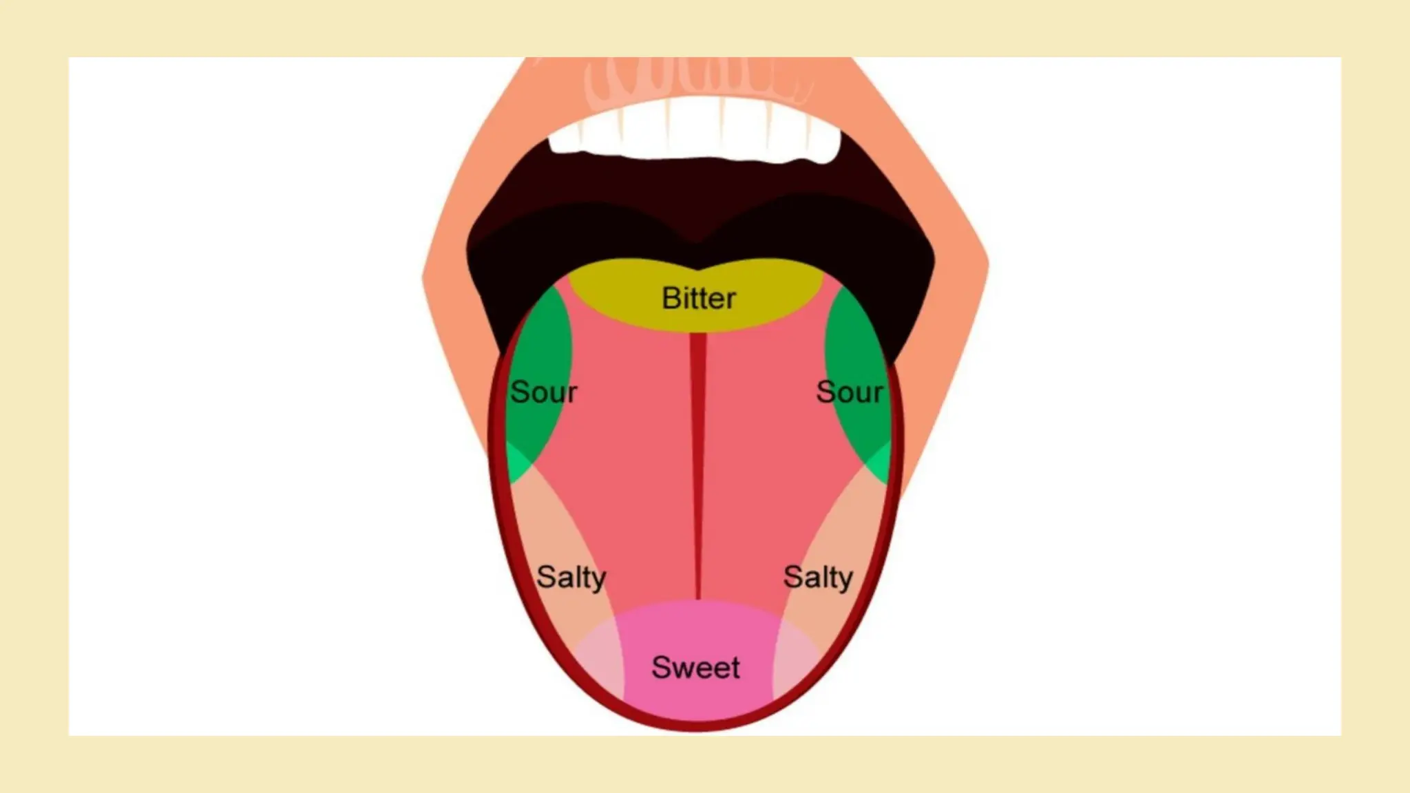 Q2-W1-SCIENCE-3-PPT.pptx WEEK 1 SCIENCE 3 LESSON 1 | PPTX