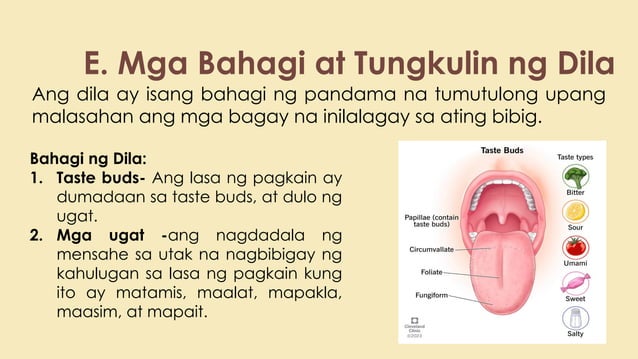 Q2-W1-SCIENCE-3-PPT.pptx WEEK 1 SCIENCE 3 LESSON 1 | PPTX