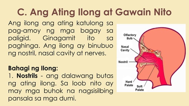 Q2-W1-SCIENCE-3-PPT.pptx WEEK 1 SCIENCE 3 LESSON 1 | PPTX