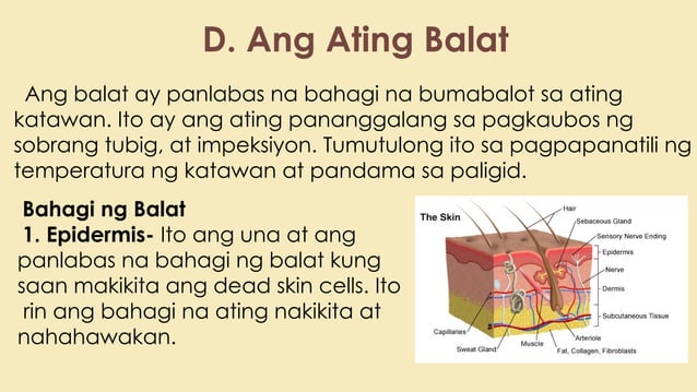 Q2-W1-SCIENCE-3-PPT.pptx WEEK 1 SCIENCE 3 LESSON 1 | PPTX