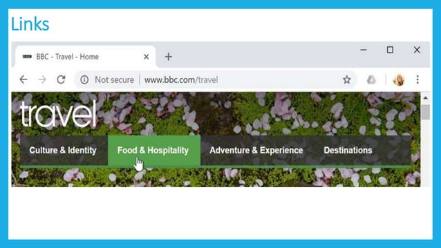 Q2-W3Requirements-for-Internet-search.pptx | Browsers | Computer Software and Applications