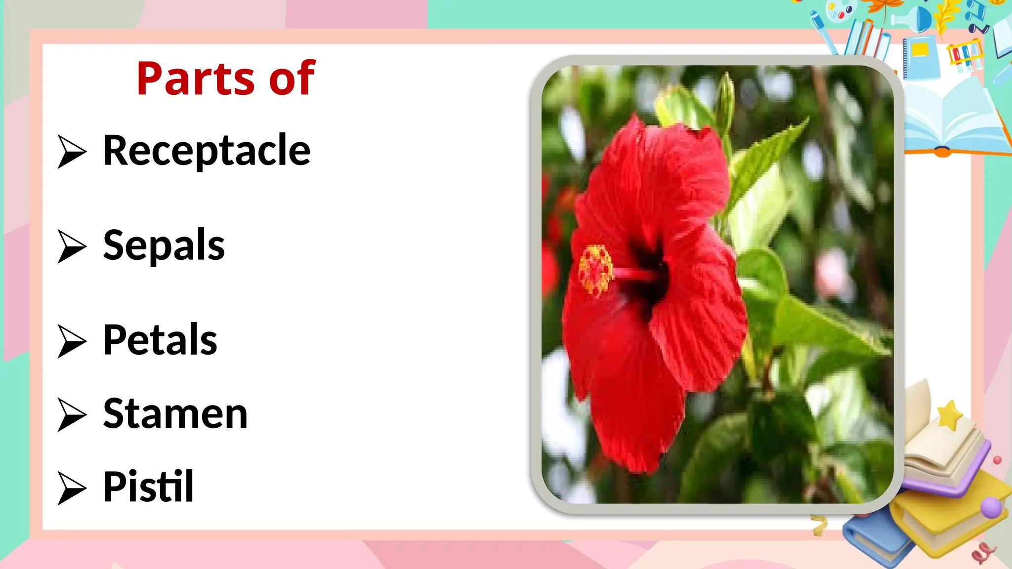 Quarter Two - Week -4 - SCIENCE - 5.pptx