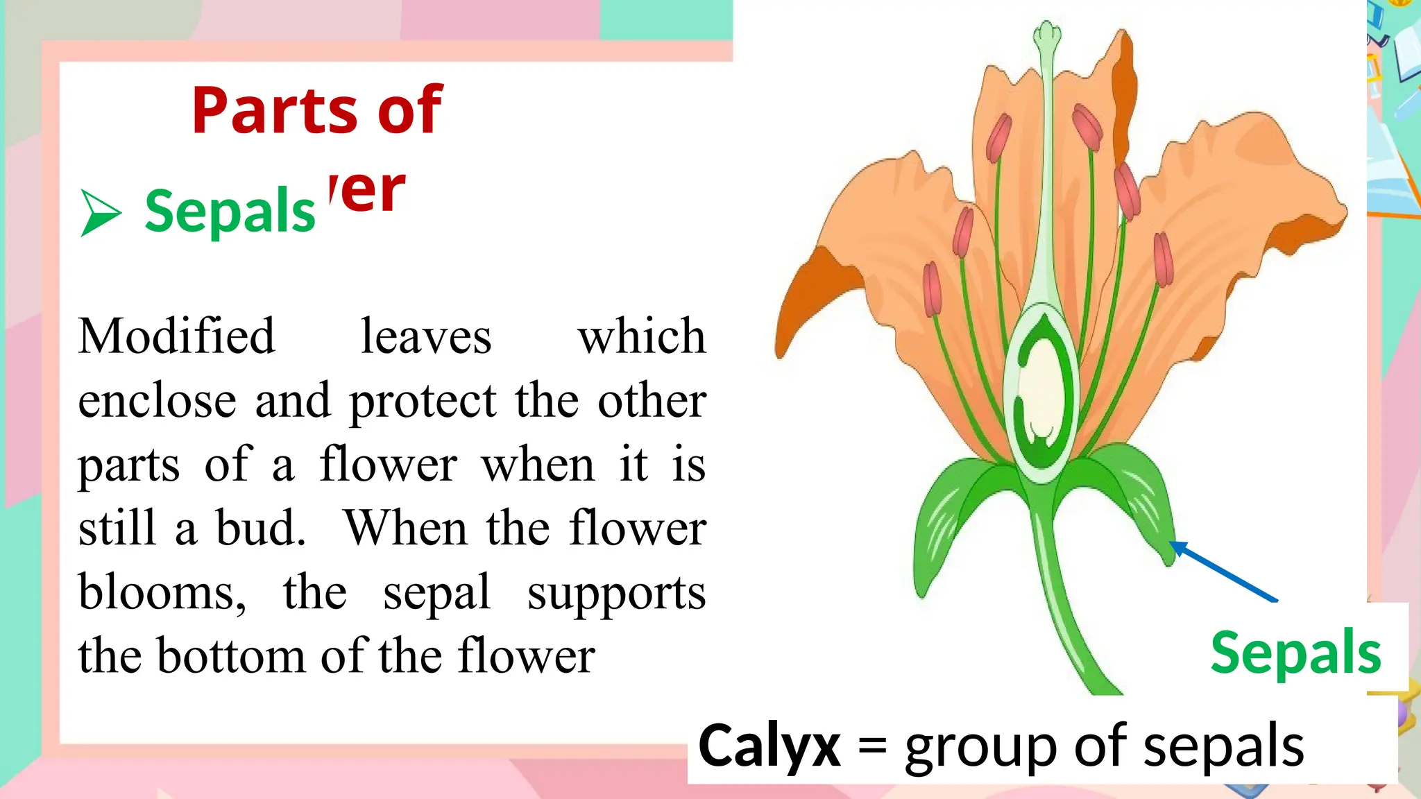 Quarter Two - Week -4 - SCIENCE - 5.pptx