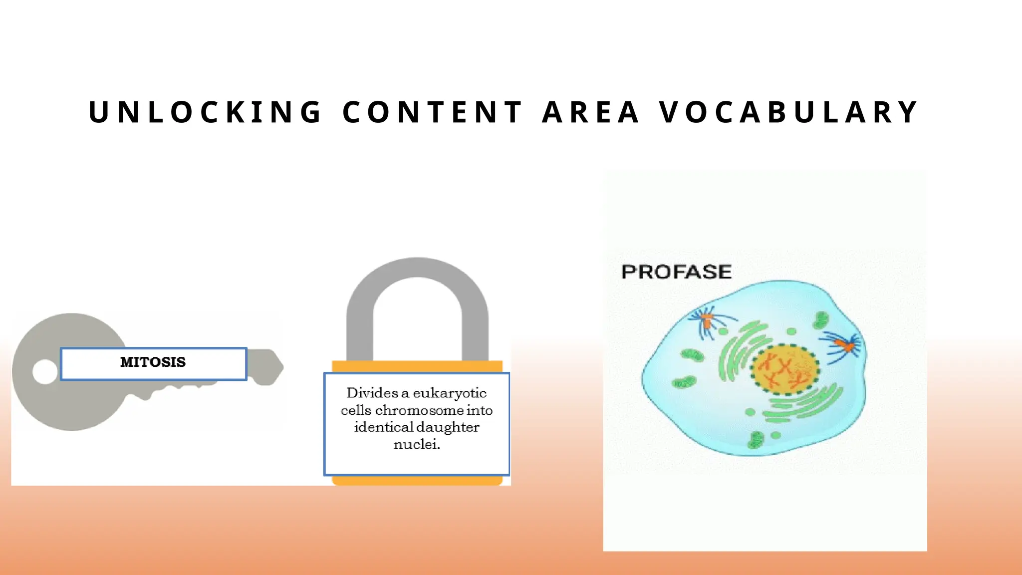 Q2 - W4 CELL CYCLE AND CELL DIVISION.pptx