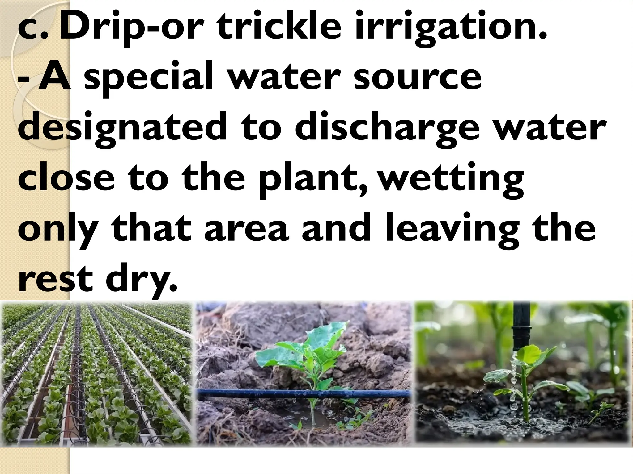 Q2-W5-Systematic and Scientific Ways of Caring Orchard Trees.pptx