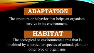 Q2-Week2- Body Structures of Amimals that Help them Adapt and Survive ...