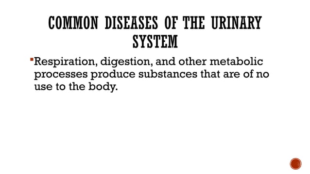 Q2-WEEK21-Urinary system lesson presentation.pptx